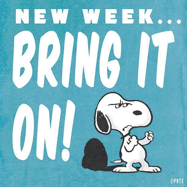 10 Funny Snoopy Memes