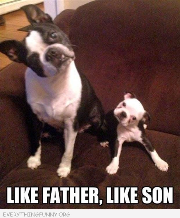 10 Funny Snoopy Memes